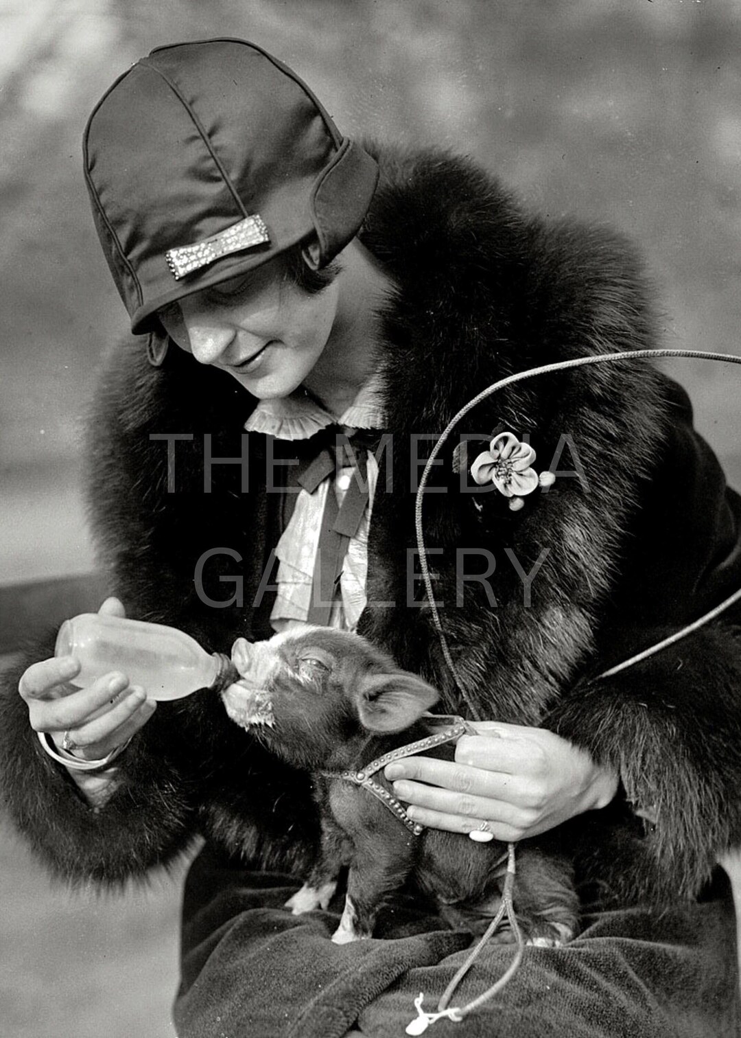 1920's Flapper Woman & Piglet Photo Print Wall Art - Vintage Old Photo ...