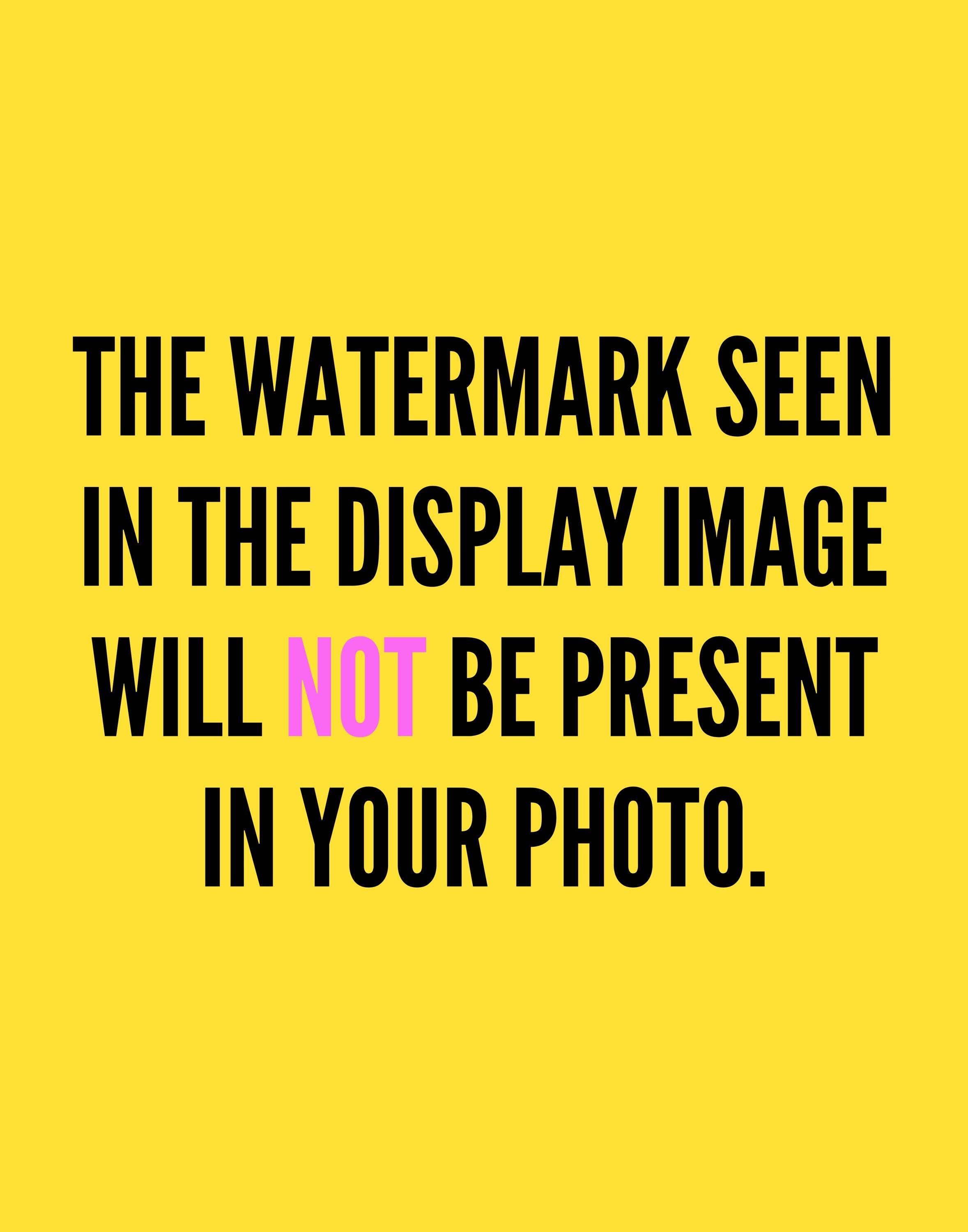 Soichi Sunami – Martha Graham Dancers Photo Print Wall Art - Vintage ...