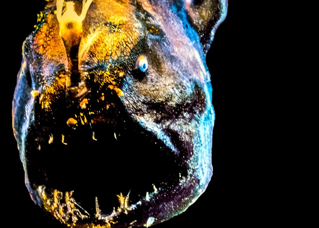 Deep Sea Fish Photo Print Ocean Art Print Decor Nautical Art Print ...