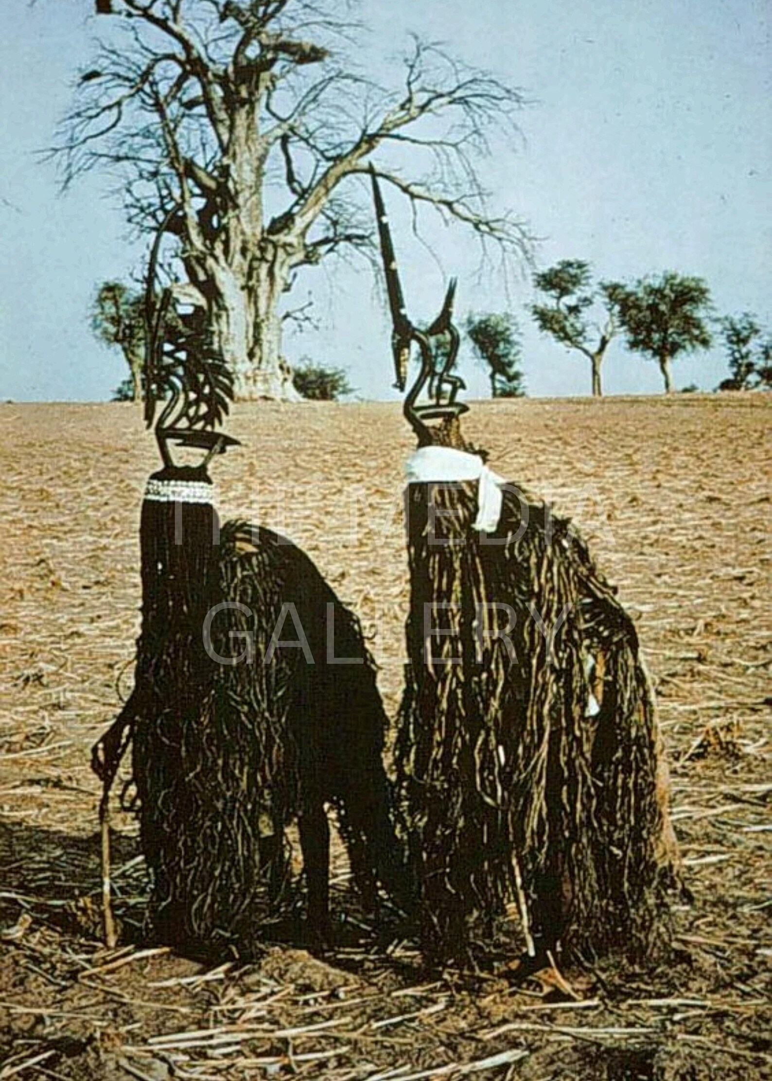Bambara Mask Photo Print – Senegal African Art, Witchy Occult Decor - Etsy