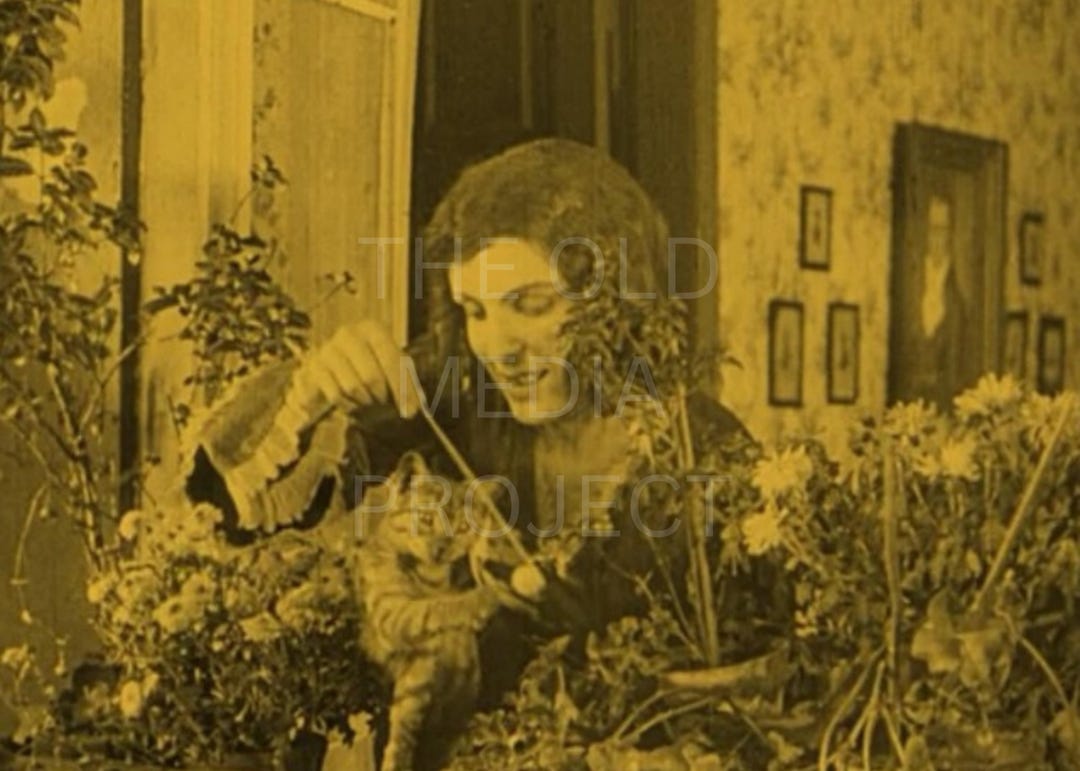 Nosferatu Ellen and Kitten Photo Print, Silent Film Vampire Art - Etsy