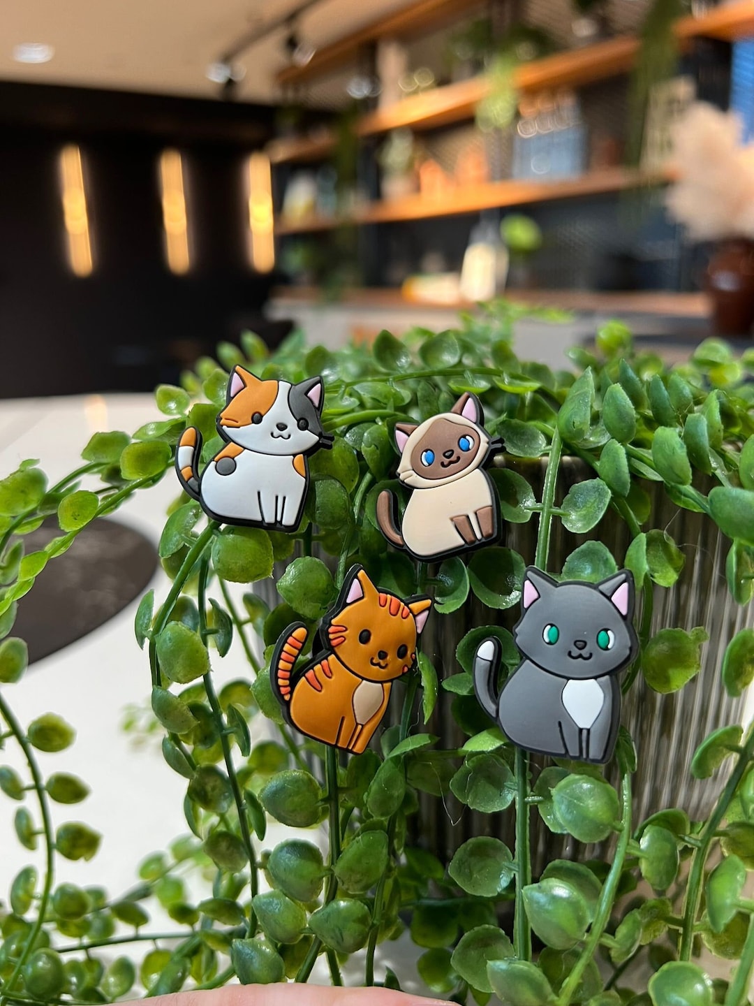 Adorable Kitty Cat Croc Set Accessory Jibitz Ginger Grey Moggy Tabby ...