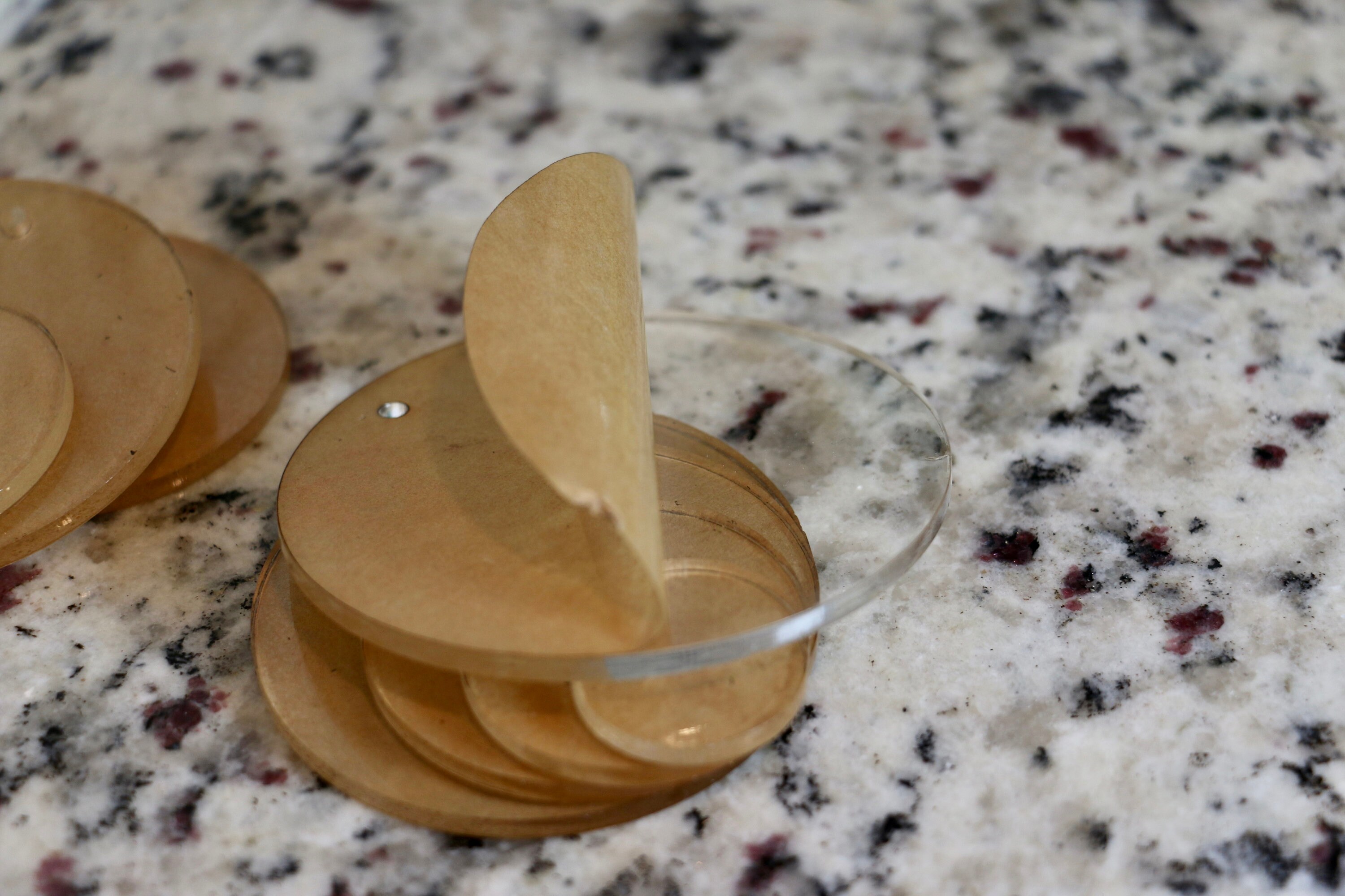 Round Clear Acrylic Disk Shapes With or Without Holes. - Etsy