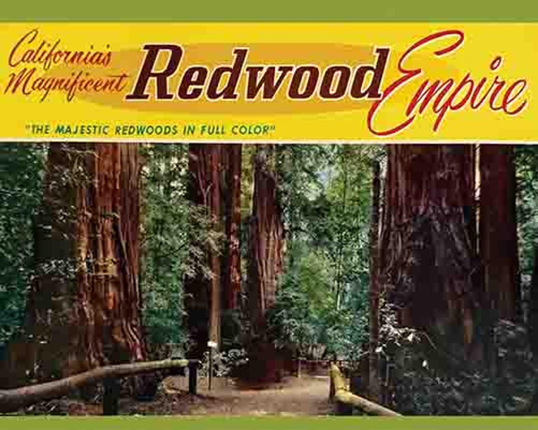 Redwoods Redwood Empire Northern California CA 16x20 Postcard Poster ...