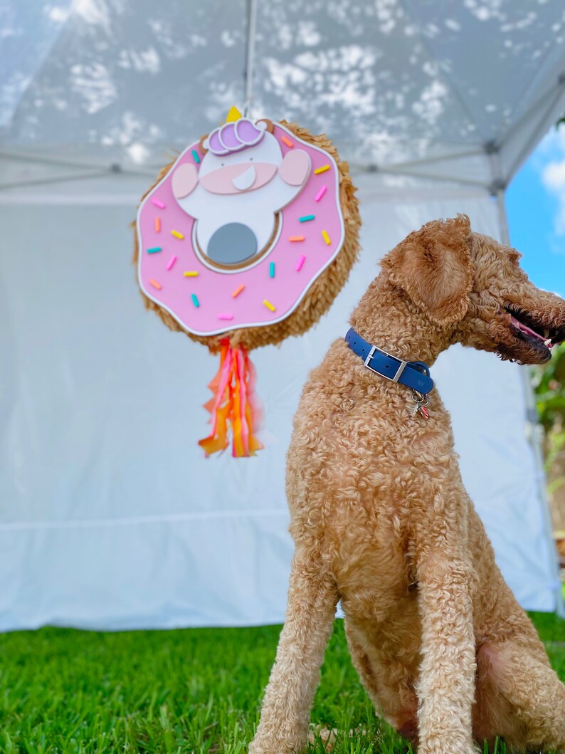 Donut Pinata Unicorn Donut Sweet Party Decor Donut With - Etsy