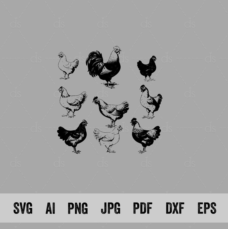 Chicken Svg / Chickens Silhouette Set / Chicken Clipart Svg Bundle ...
