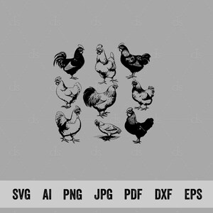 Chicken Svg / Chickens Silhouette Set / Chicken Clipart Svg Bundle ...