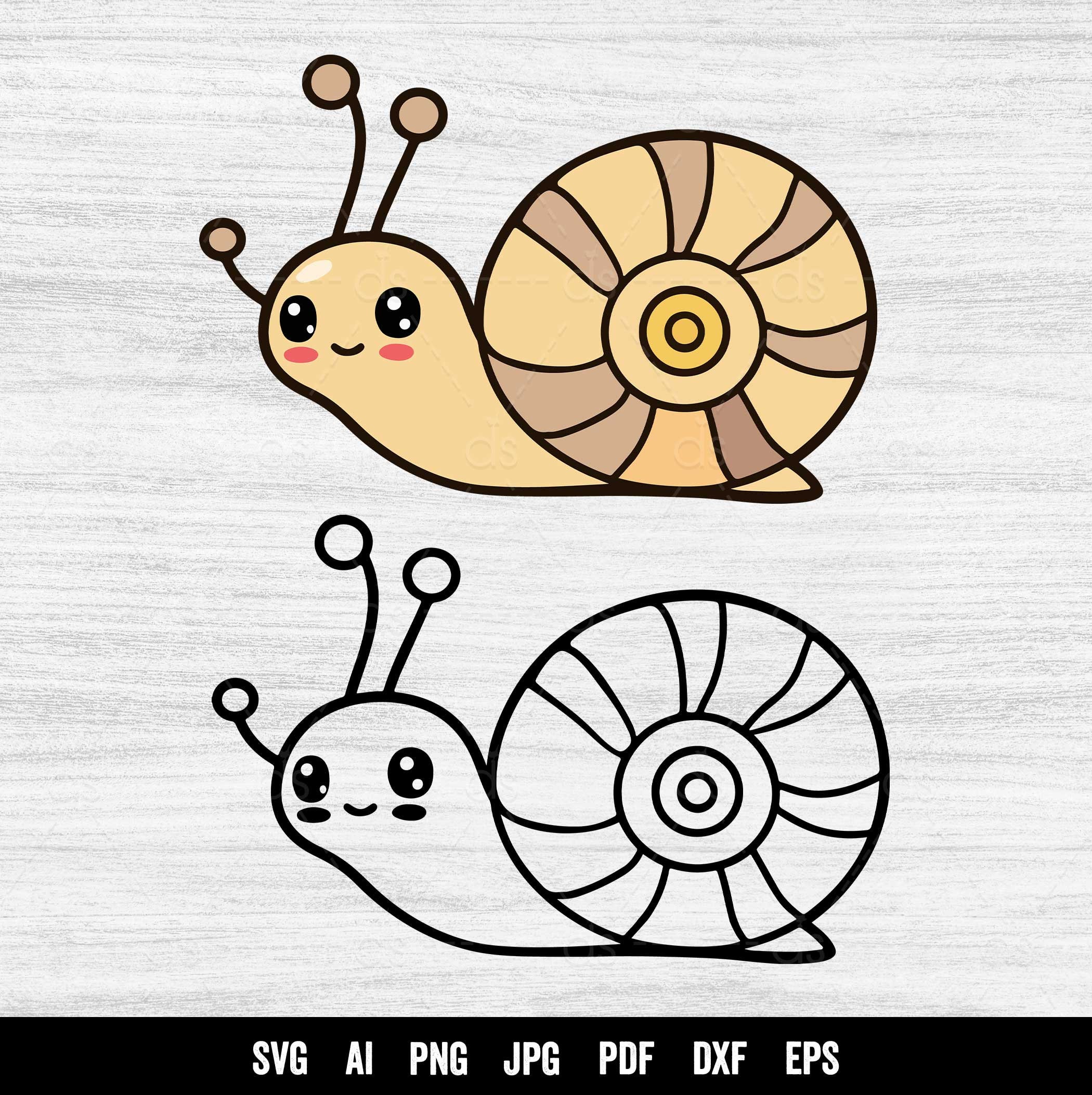 Cute Snail SVG & PNG for Cricut, Silhouette, Outline. - Etsy