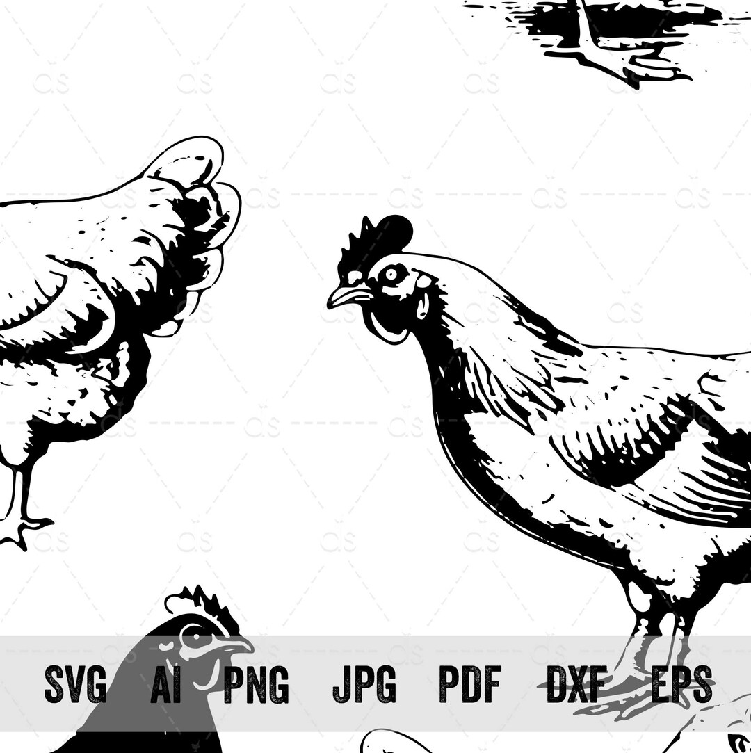 Chicken SVG File - Farm Animal SVG, Chicken Silhouette, Cricut ...