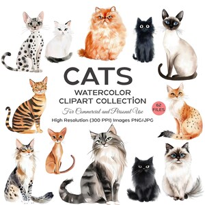 Watercolor Cats Clipart Collection, 62 Watercolor Cat Illustrations ...