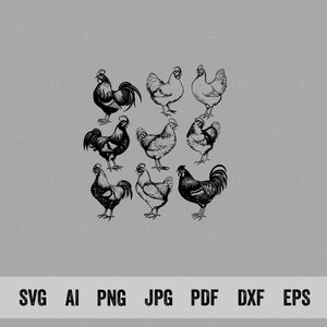 Chicken Svg / Chickens Silhouette Set / Chicken Clipart Svg Bundle ...