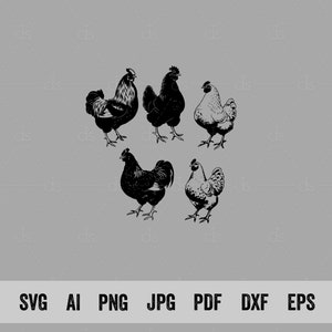 Chicken Svg / Chickens Silhouette Set / Chicken Clipart Svg Bundle ...