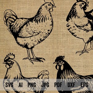 Chicken Svg / Chickens Silhouette Set / Chicken Clipart Svg Bundle ...
