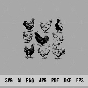 Chicken Svg / Chickens Silhouette Set / Chicken Clipart Svg Bundle ...