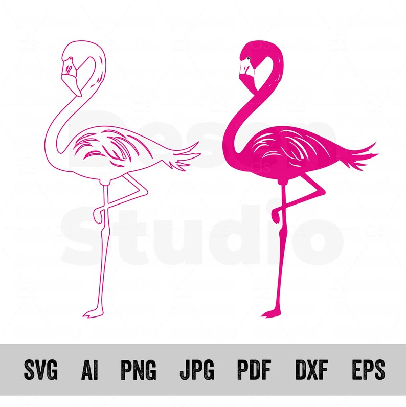 Exquisite Tropical Bird SVG: Create Stunning DIY Projects With This ...