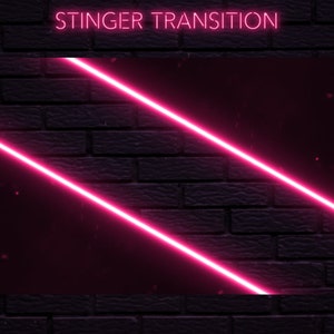 Pink Neon -twitch Overlay Package - Etsy