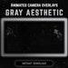 Twitch Animated Webcam Border Frame - GRAY COLORS Aesthetic Camera ...