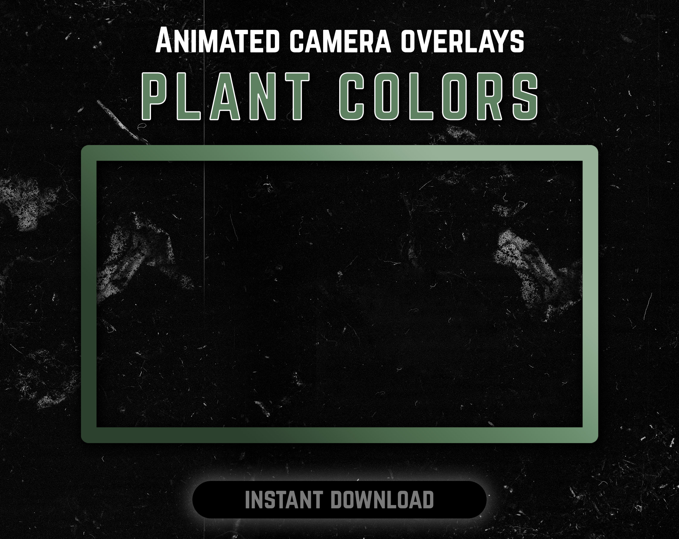Twitch Animated Webcam Border Frame - PLANT COLORS Camera Border - for ...