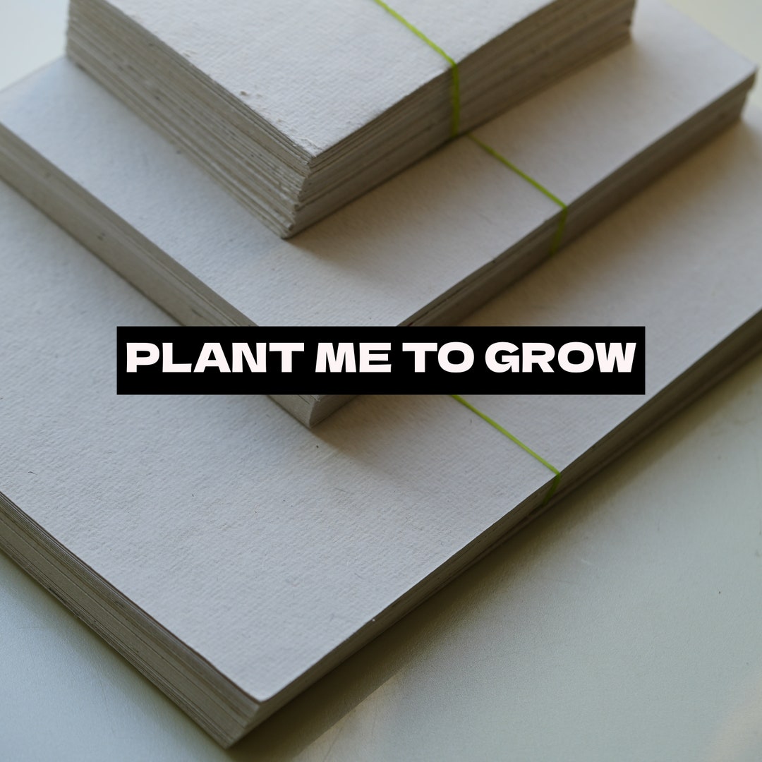 Plantable Seed Paper, Seeded Paper, Pack of 10, 200 GSM, Blank Seeded ...