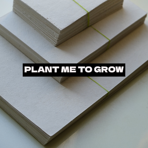 Plantable Seed Paper Postcards - Etsy