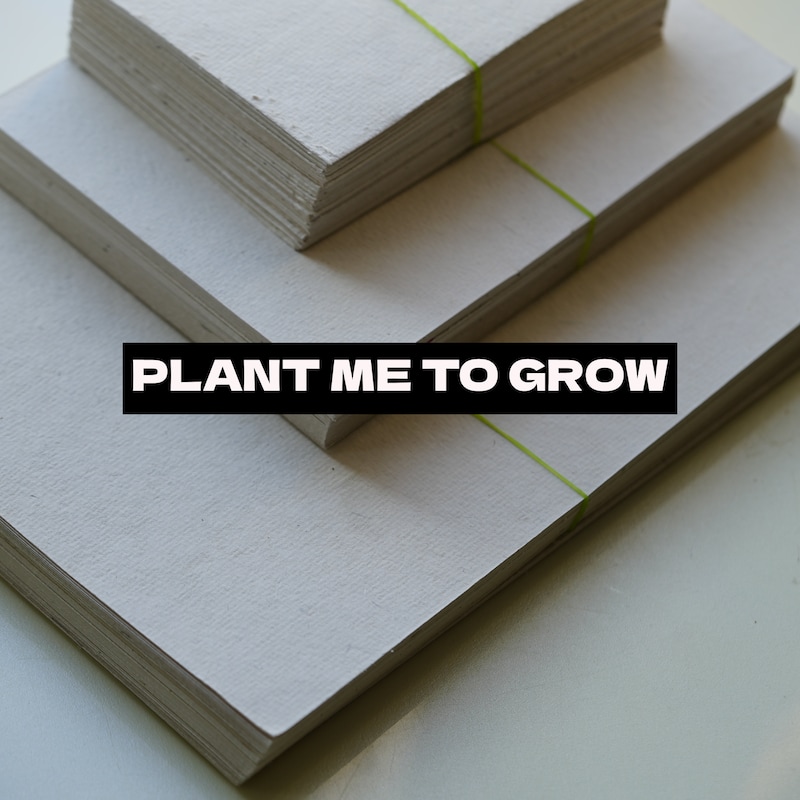 Plantable Seed Paper - Etsy