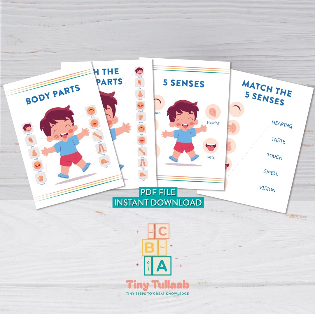Body Parts & 5 Senses Activity Bundle Worksheets for Toddlers and Pre ...