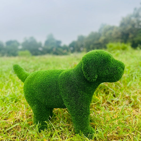 Dog Topiary Frame - Etsy