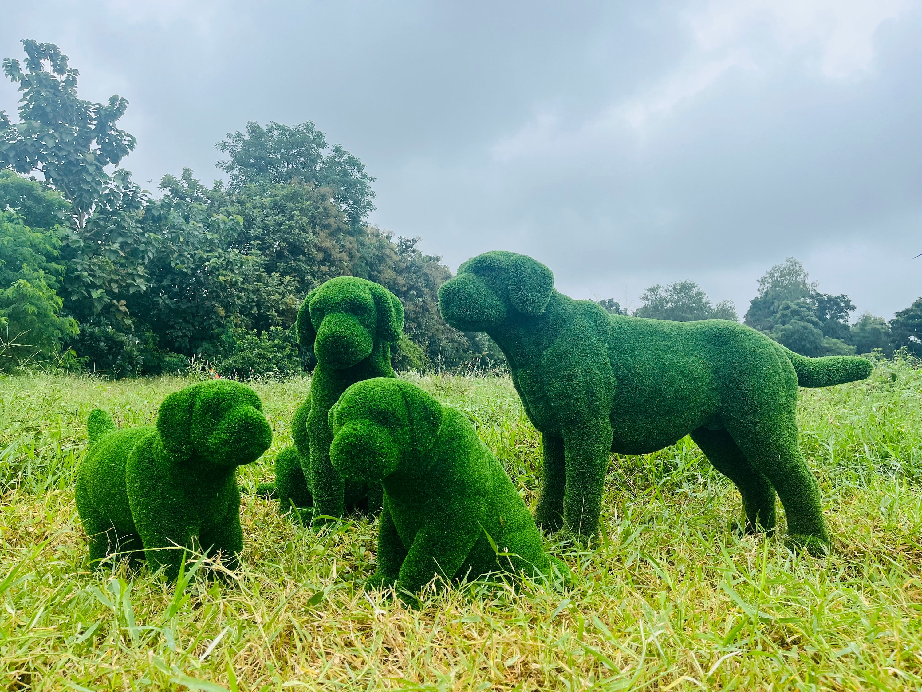 Green Dog Topiary: Fibreglass Puppy for Home & Garden - Etsy