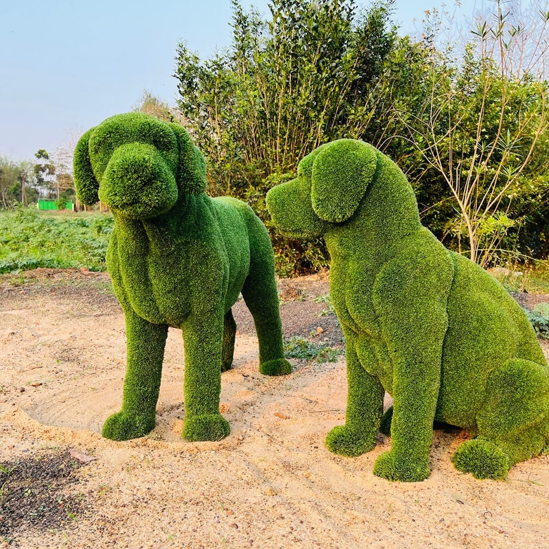 Dog Topiary Frame - Etsy