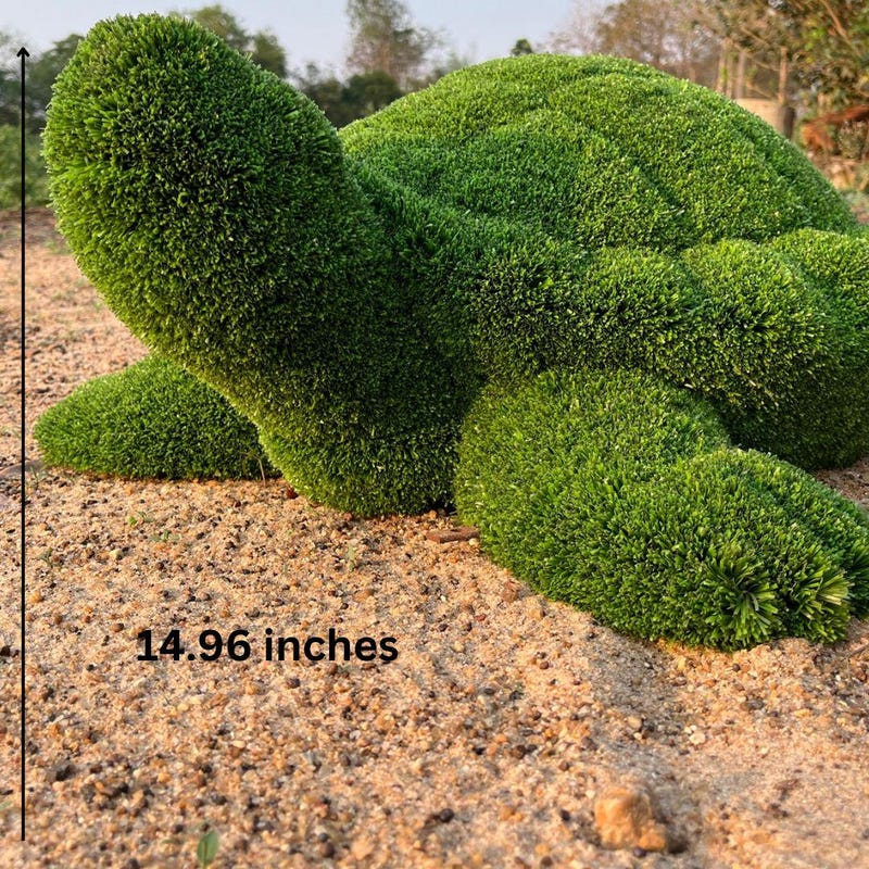 Topiary Frames - Etsy