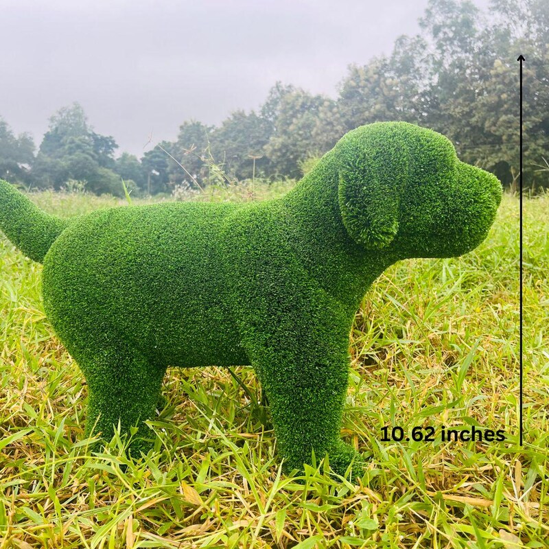 Topiary Dog - Etsy