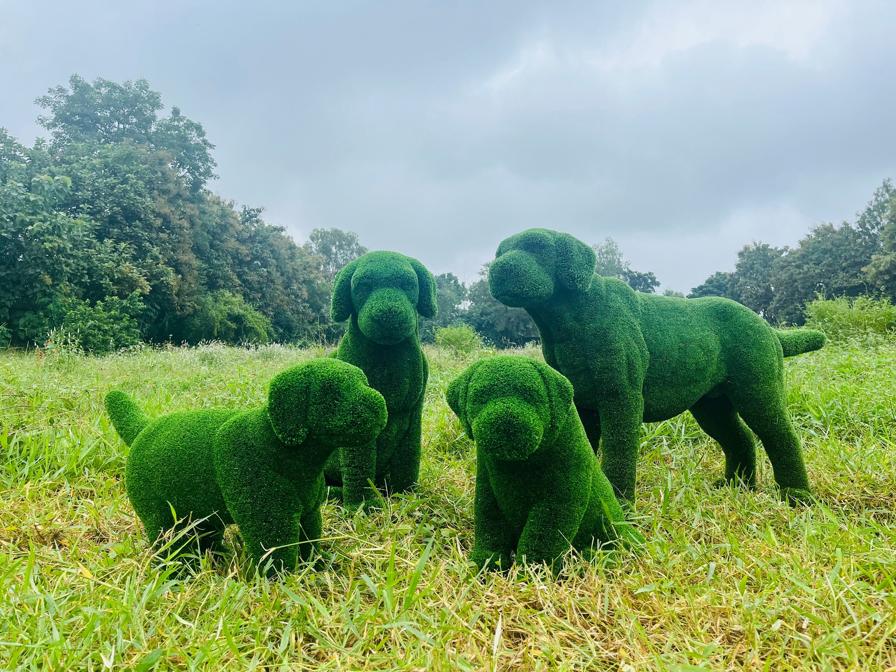 Animal Topiary Green Dog Puppy Sitting is Made of Fibreglass and ...