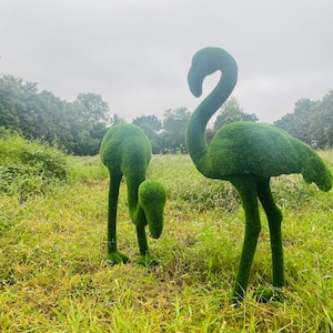 Animal Topiary Green Flamingo Pair is Made of Fibreglass and Artificial ...