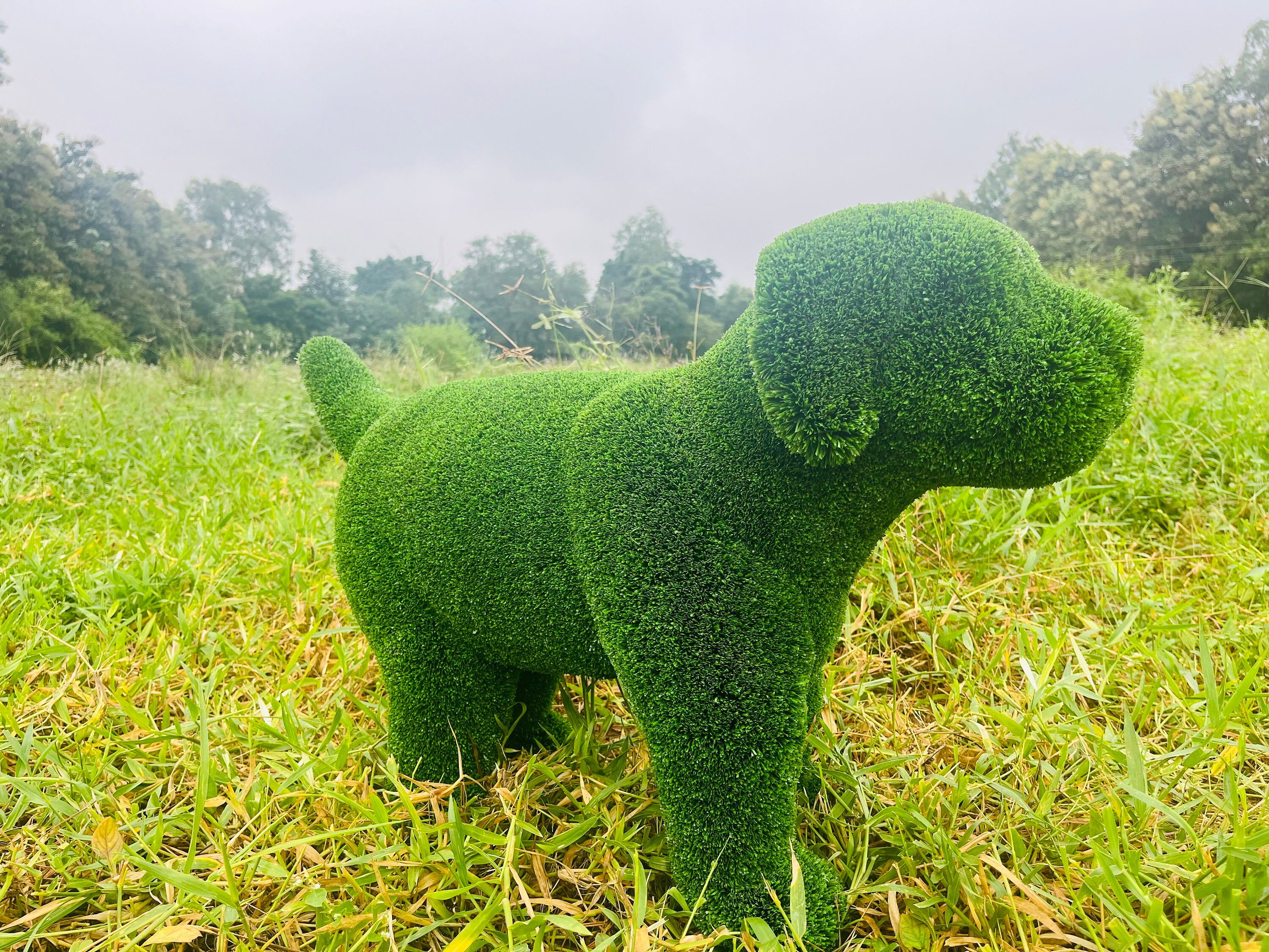 Green Dog Topiary: Fibreglass Puppy for Home & Garden - Etsy