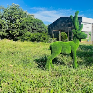 Animal Topiary Green Deer is Made of Fibreglass and Artificial Turf for ...