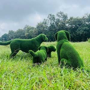 Dog Topiary Pair Green Colour : Artificial Turf Decor - Etsy