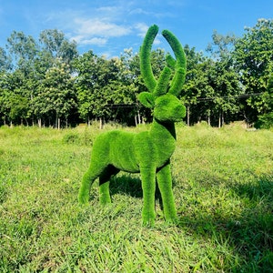 Animal Topiary Green Deer is Made of Fibreglass and Artificial Turf for Home, Garden, and ...