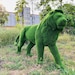 Animal Topiary Green Standing Lion is Made of Fibreglass and Artificial ...