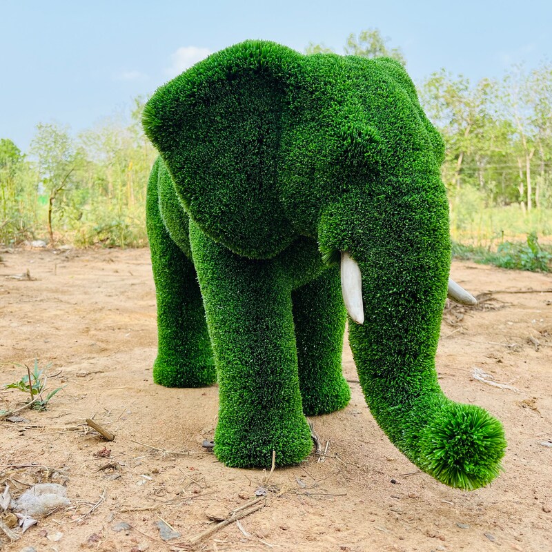 Topiary Frames - Etsy