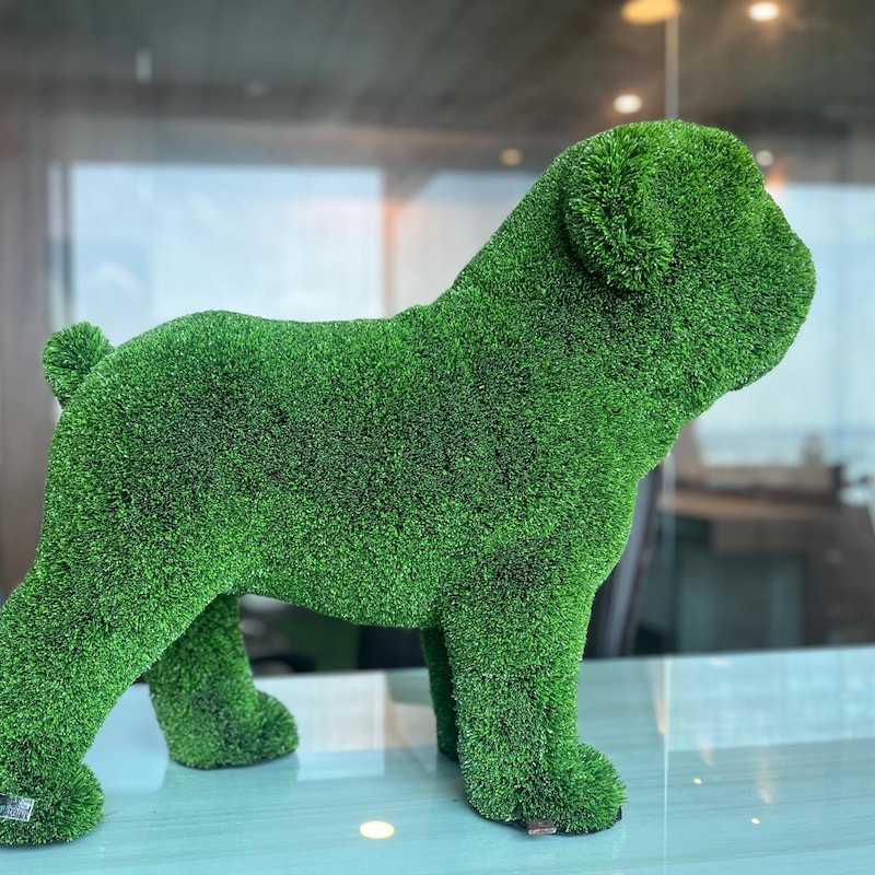 Topiary Dog - Etsy