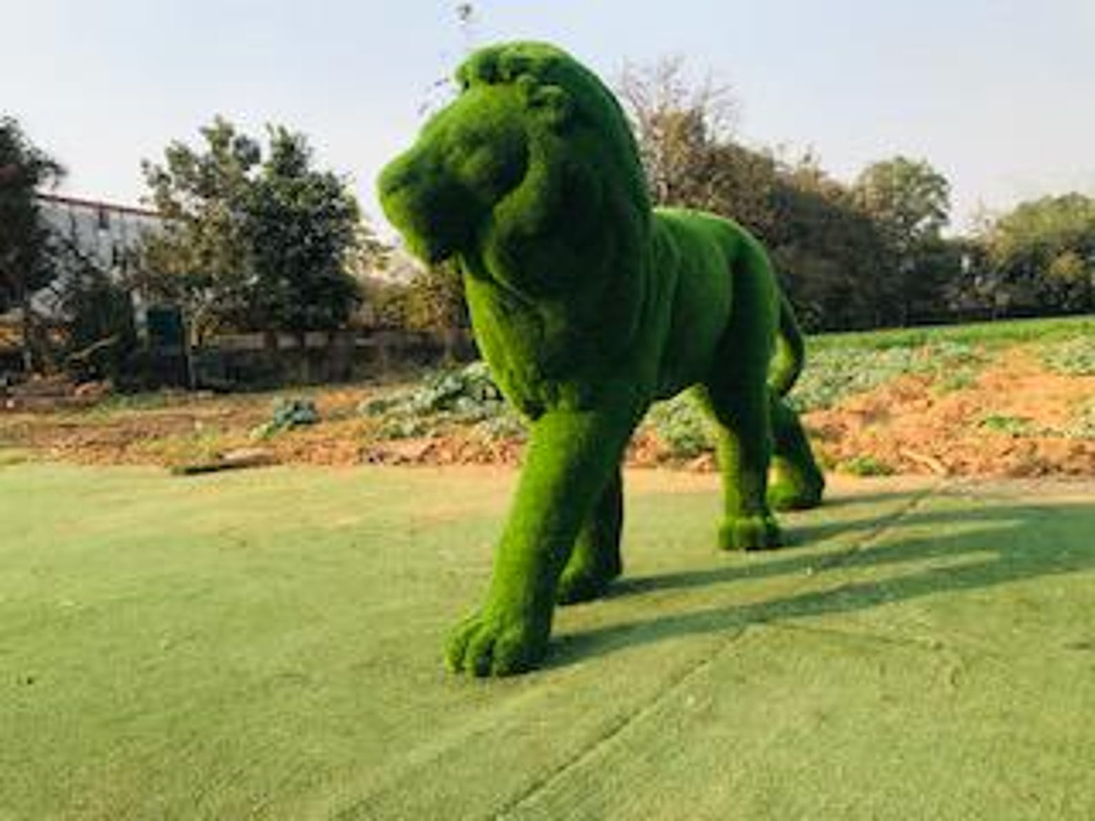 Animal Topiary Green Standing Lion is Made of Fibreglass and Artificial ...