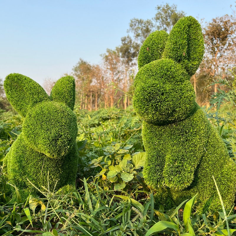 Green Bunny Rabbit - Etsy