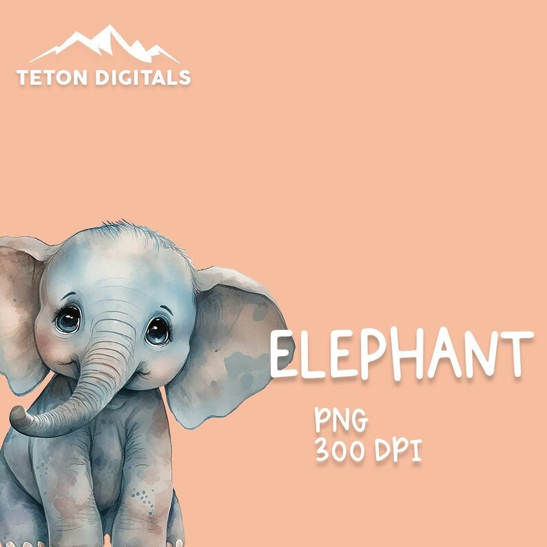 Elephant Watercolor Clipart Cute Elephant Clipart PNG Baby - Etsy