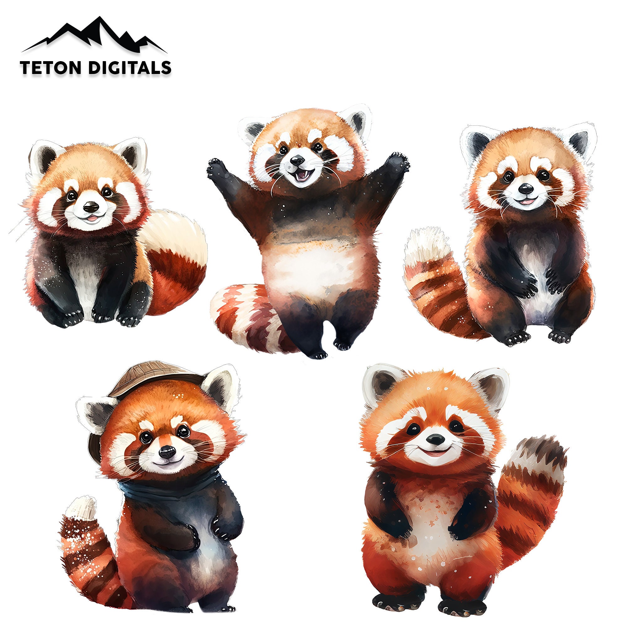 Red Panda Clipart PNG Bundle, Red Panda Watercolor Clipart PNG, Red ...