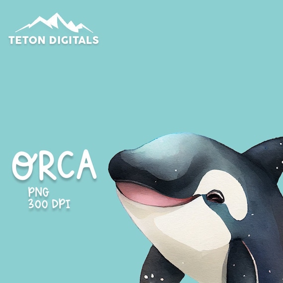 Cute Killer Whale Clip Art