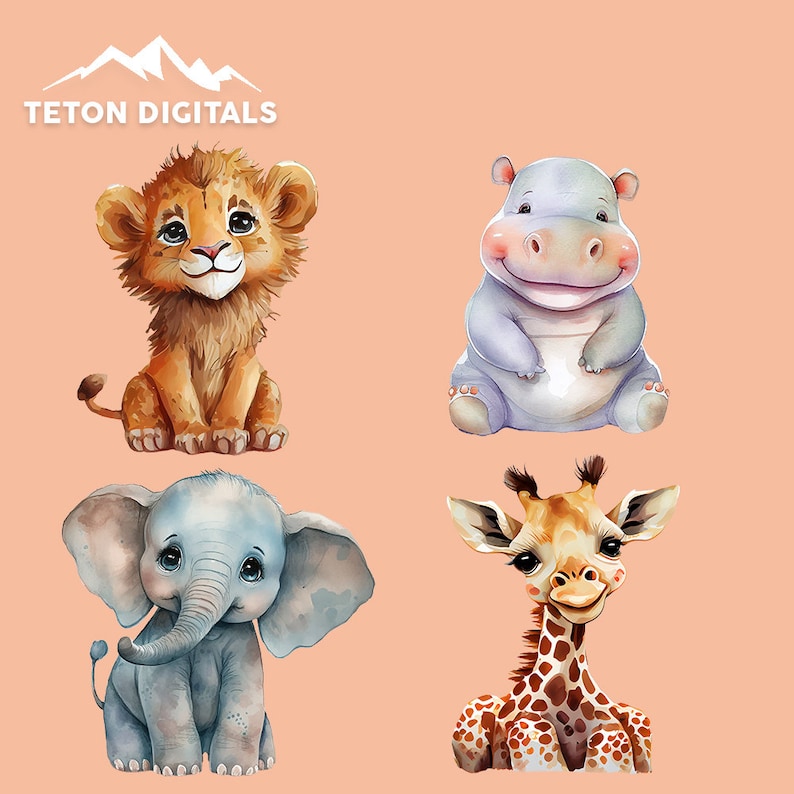 Safari Animal Clipart PNG Bundle Cute Safari Animals Clipart - Etsy