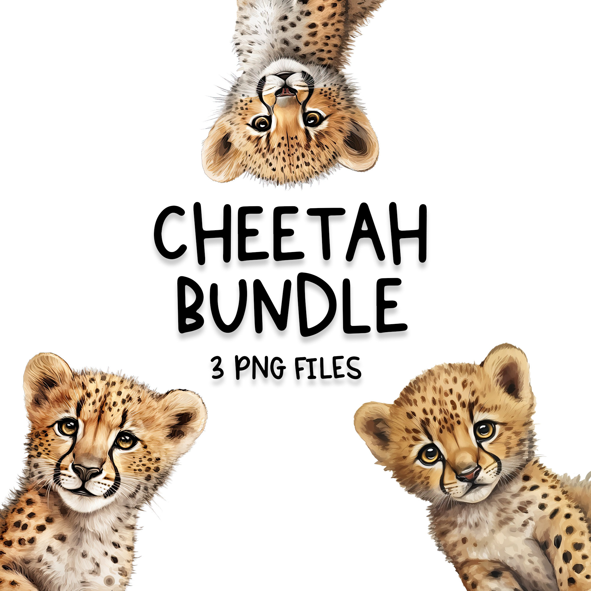 Cheetah Clipart PNG Bundle Cute Watercolor Cheetah Clipart - Etsy