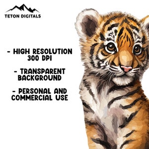 Tiger Clipart PNG Bundle, Cute Tiger Watercolor Clipart PNG, Baby Tiger ...