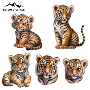Tiger Clipart PNG Bundle, Cute Tiger Watercolor Clipart PNG, Baby Tiger ...