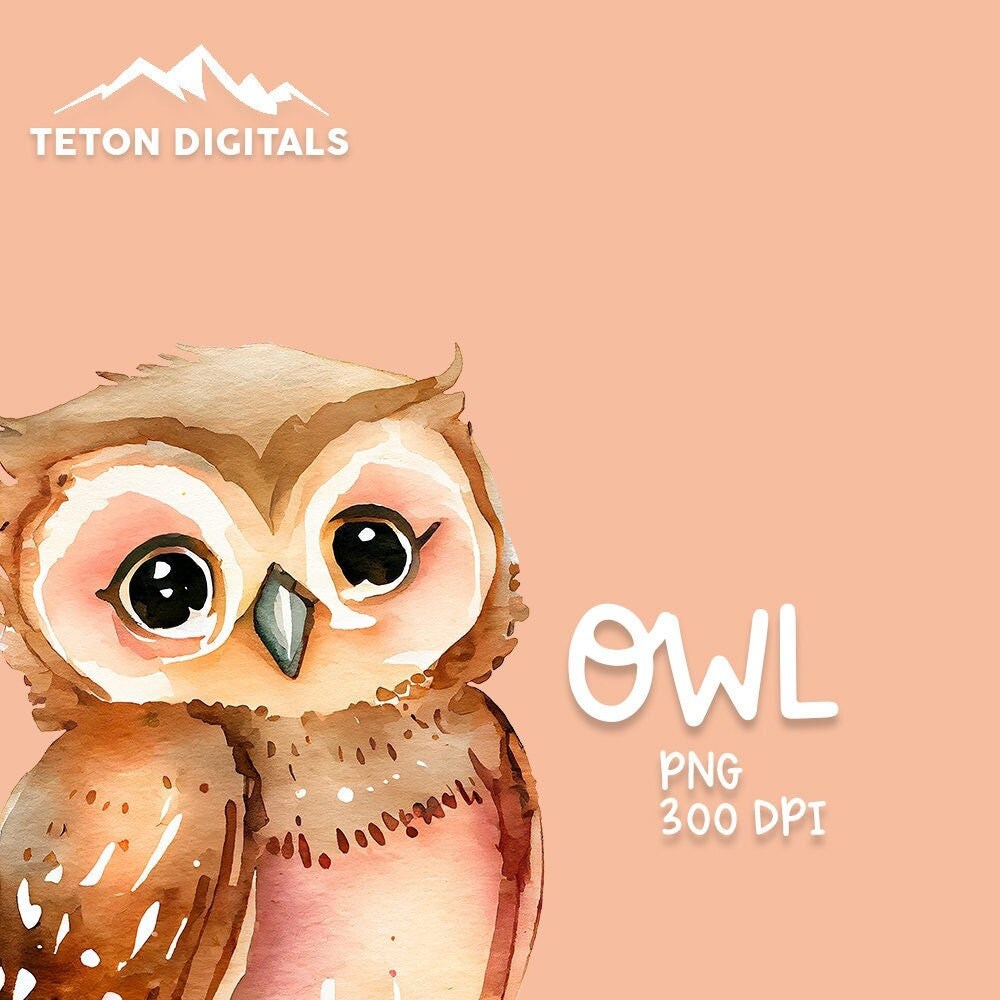 Baby Owl Watercolor Clipart Cute Owl Clipart PNG Baby Owl - Etsy